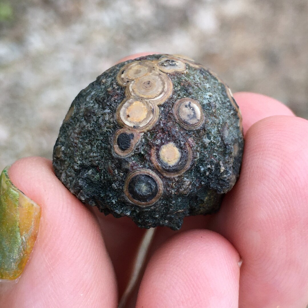 Golden Brown Eyes on Gobi Stone _ Gobi Agate _ Gobi Desert Rough Stone ...