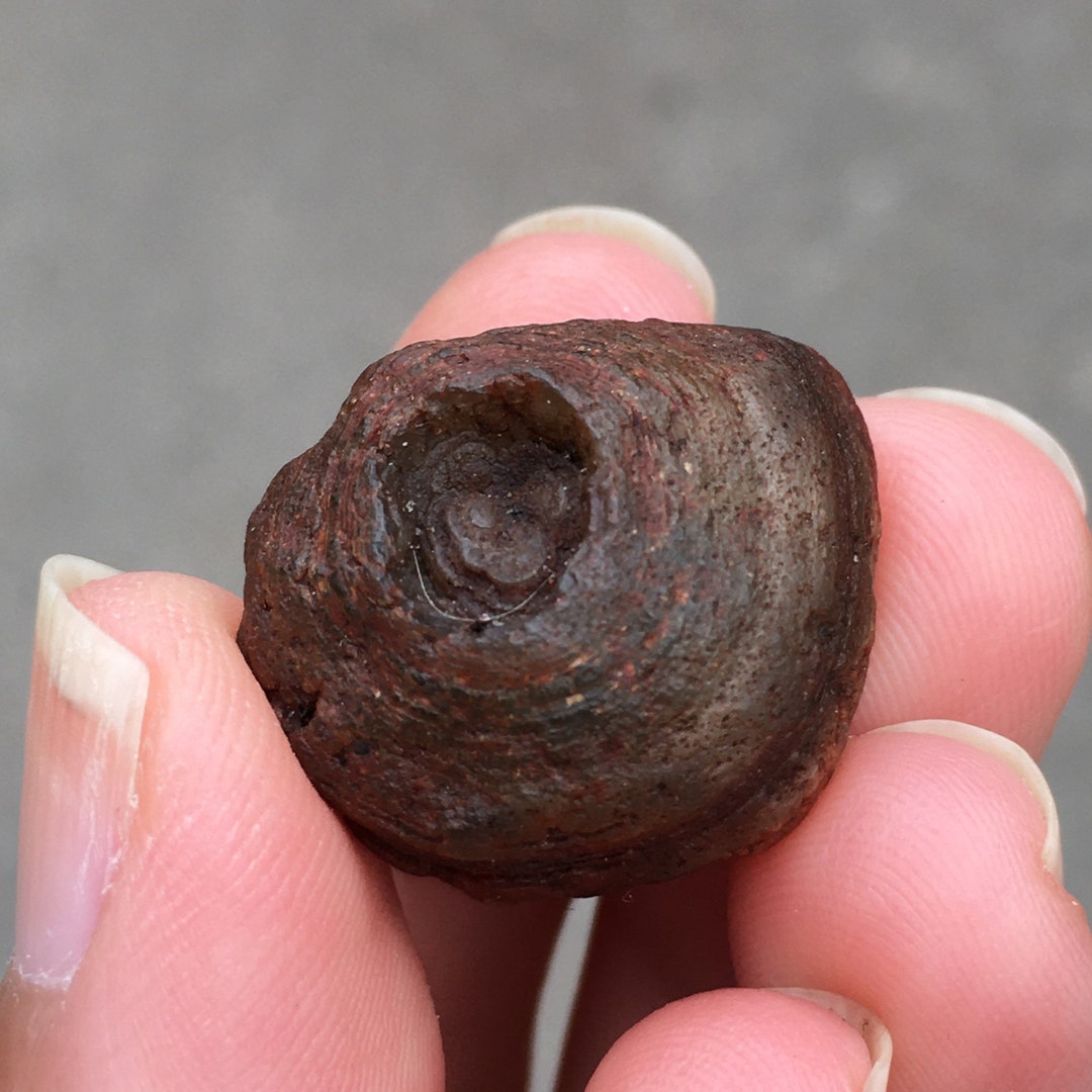Single Mud Red Eye _ Gobi Eye Agate _ Gobi Agate _ Gobi Desert Rough ...