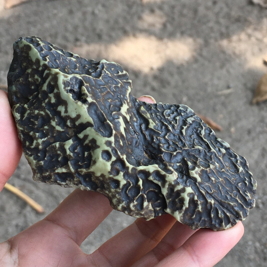 Dark Brown Mudstone With Green Spell Texture _ Gobi Desert Rough Stone ...