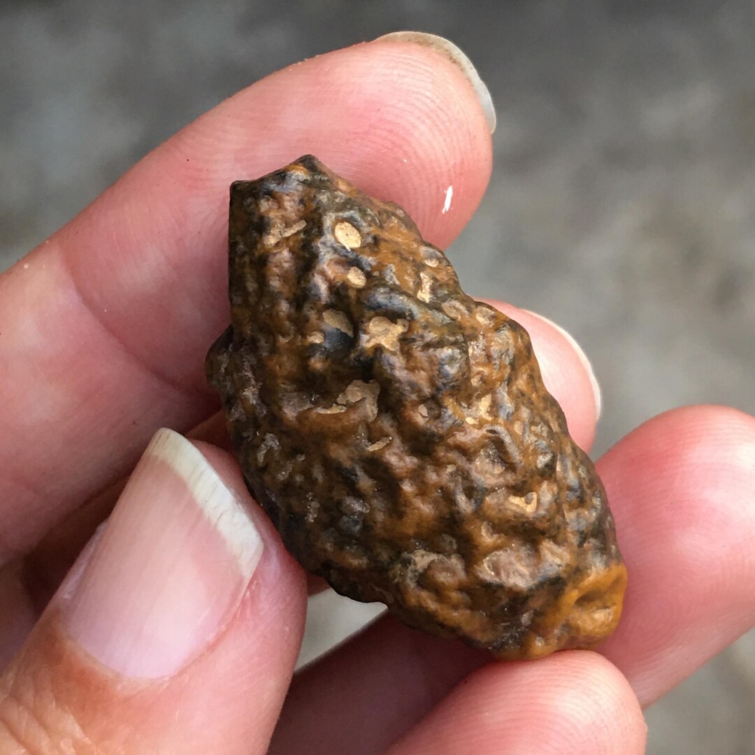 Big Mouth Gobi Mudstone_ Gobi Mudstone _ Gobi Desert Rough Stone AB - Etsy