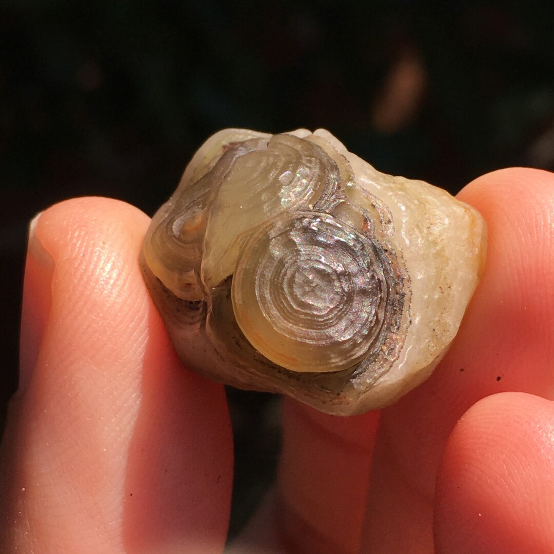 3D Transparent 80 Pattern Eye _ Gobi Eye Agate _ Gobi Agate _ Rough ...