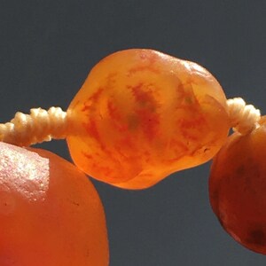 Mini Blood Vessel _ Golden Brown Vein Agate _ Candy _ Gobi Desert Rough ...