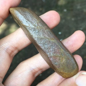 Funny Mud Red Coffee Brown Mudstone With Vein Texture _ Gobi Mudstone ...