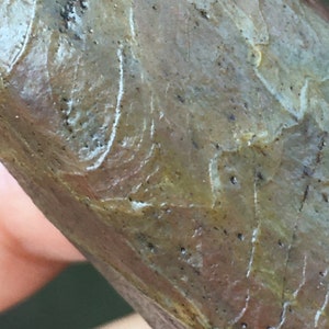 Funny Mud Red Coffee Brown Mudstone With Vein Texture _ Gobi Mudstone ...