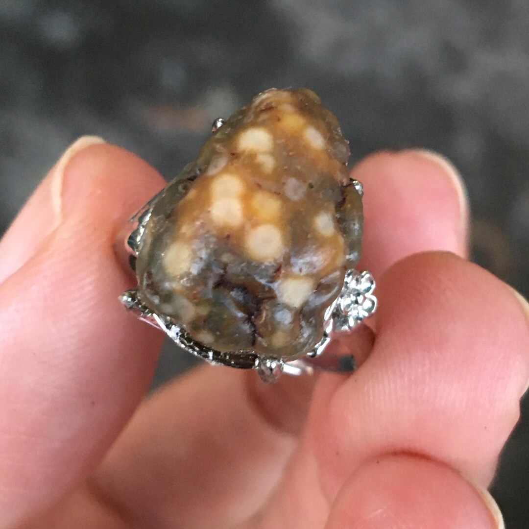 Brown Roe Agate _ Gobi Stone _ Gobi Desert Rough Stone _ Gobi Agate ...