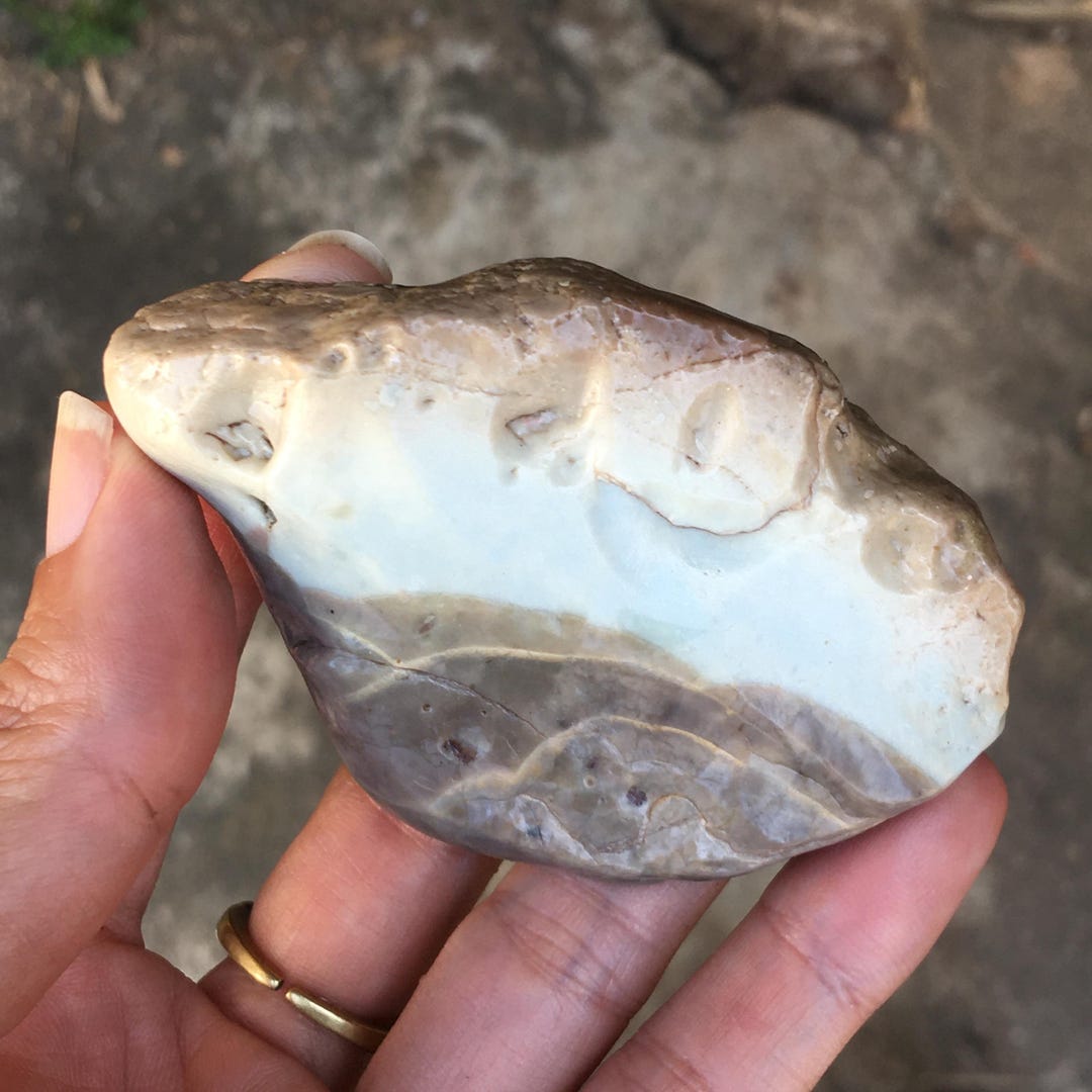 Brown Blue_ Old Skin _ Gobi Mudstone _gobi Desert Rough Stone Z - Etsy