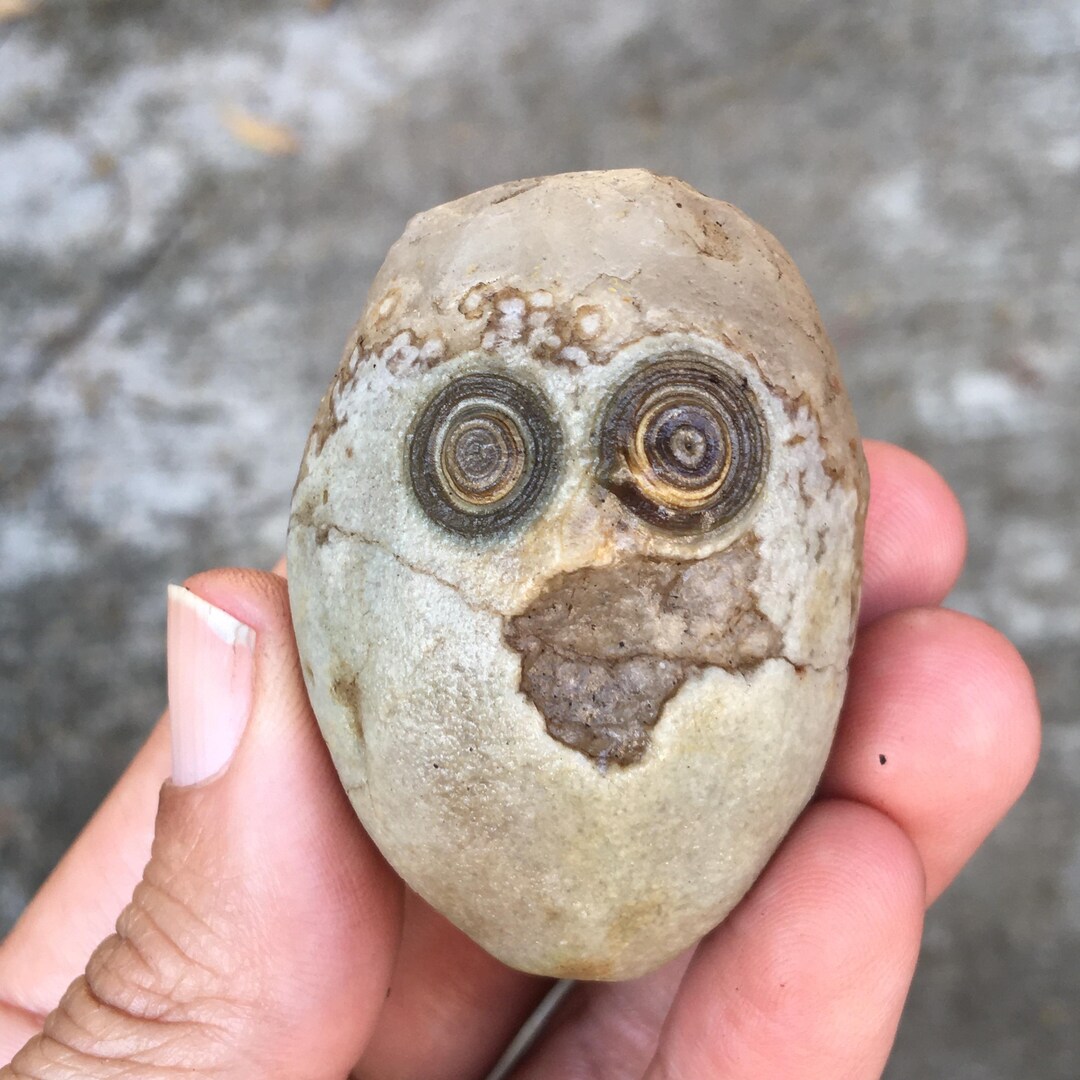 Funny Monster _ Brown Grey Green _ Gobi Eye Agate _ Gobi Agate _ Gobi ...