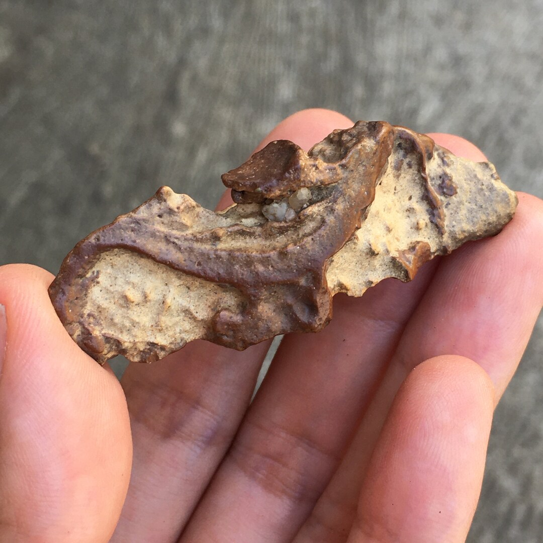 Brown Dragon Tail Mudstone _ Gobi Mudstone _ Gobi Desert Rough Stone R ...