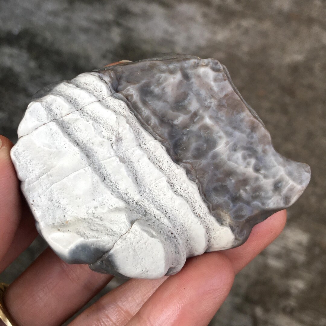 Nice Color _ Grey White _steps _ Gobi Mudstone _gobi Desert Rough Stone ...
