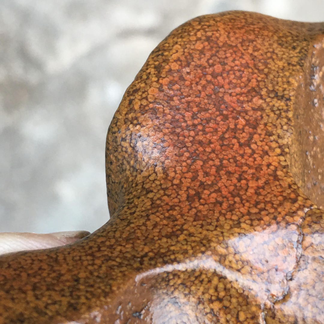 Rare _ 9.5cm Roe Mudstone_ Gobi Mudstone _ Gobi Desert Rough Stone AB ...