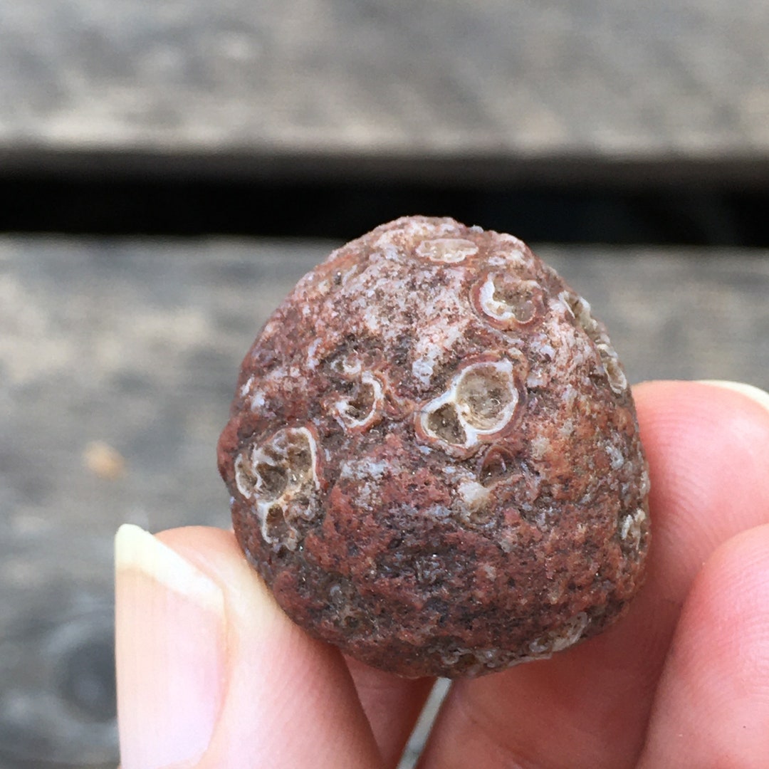 Mud Red Gobi Eye Agate _ Gobi Eye Agate _ Gobi Desert Rough Stone W - Etsy