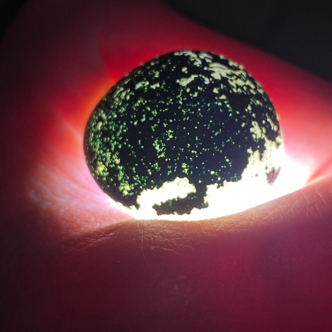 Green Grass Agate _ Gobi Agate _ Gobi Desert Rough Stone F - Etsy