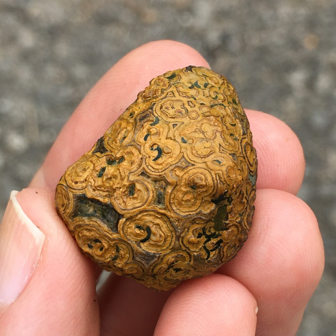 Clear Pattern _ Golden Coin Eyes _ Gobi Eye Agate _ Gobi Desert Rough ...