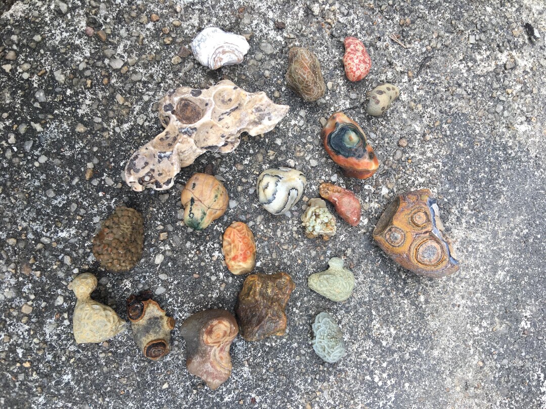 Gobi Eyes _ Gobi Mudstone _ Gobi Desert Rough Stone Set of LOTS 19 ...