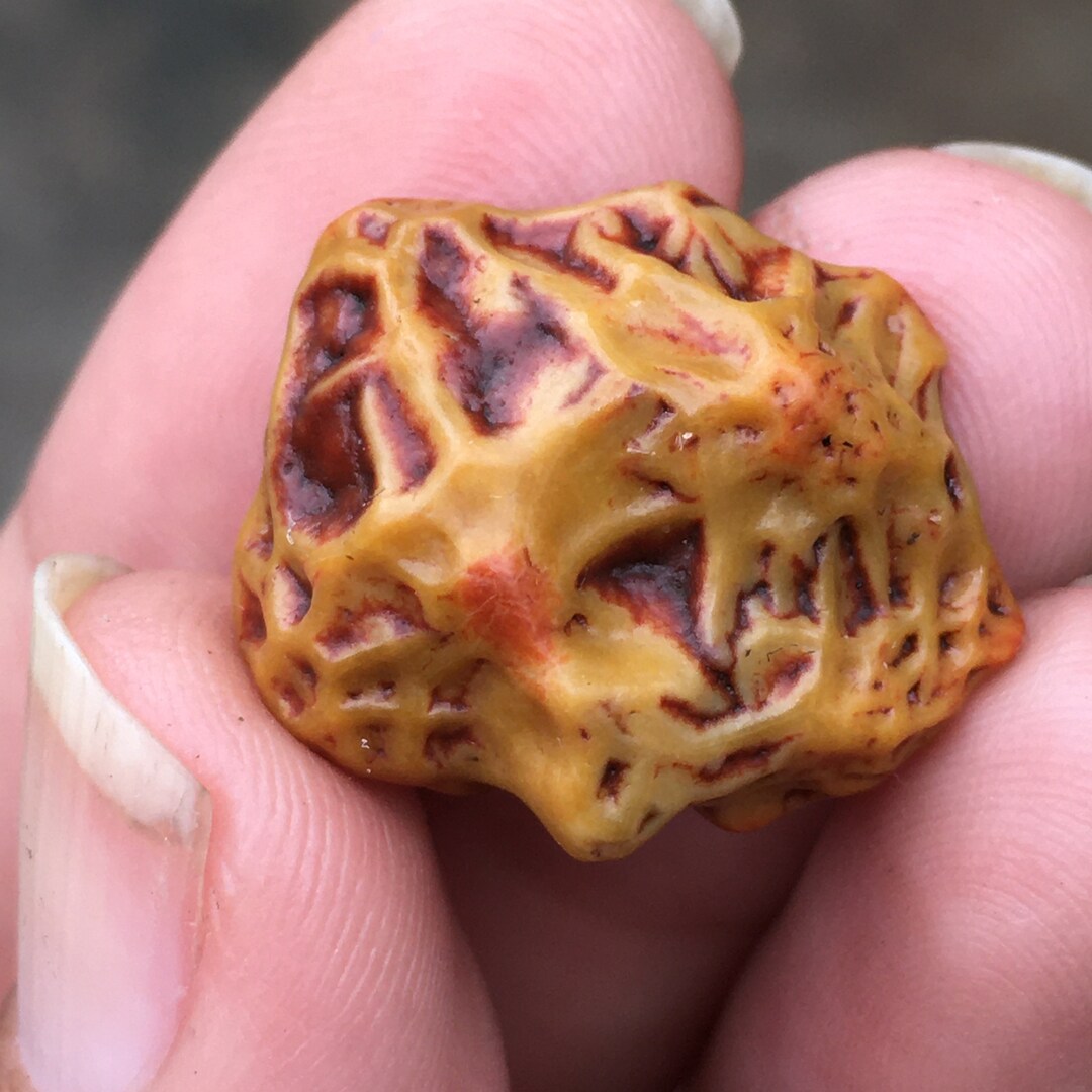 Sand Top Orange Mud Yellow Gobi Flower Vein Tendon Agate _ Gobi Agate ...