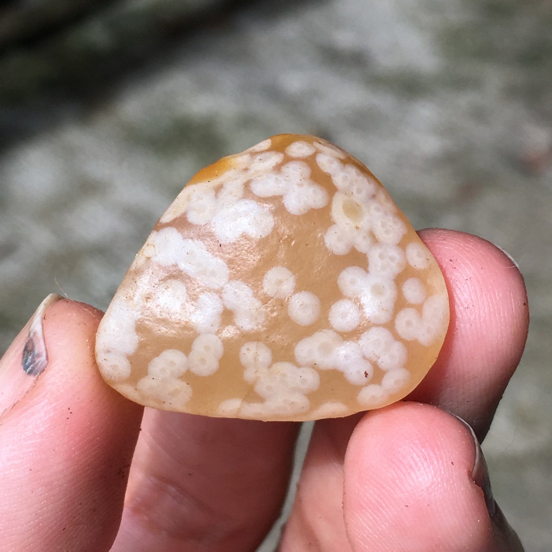 White Dots on Clear Yellow Gobi Candy Agate _ Gobi Agate _ Gobi Desert ...