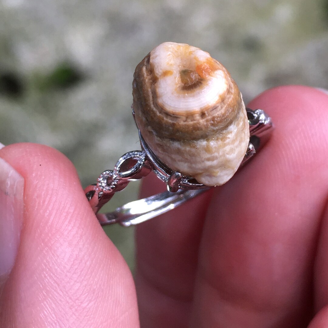 3D Eye Agate _ Gobi Stone _ Gobi Desert Rough Stone _ Gobi Agate Ring ...