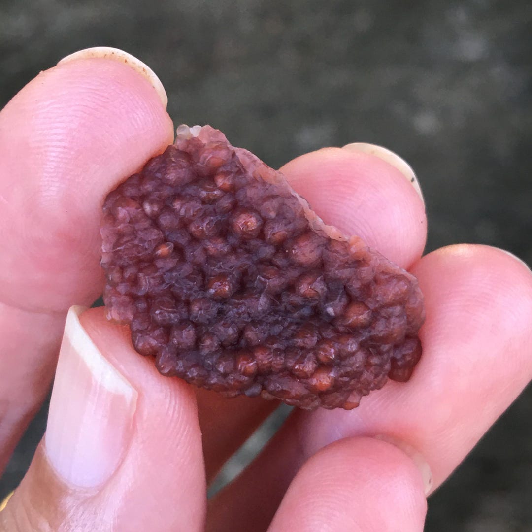 Red Purple Bubble Gobi Black Mountain Agate _ Gobi Agate _ Eye Agate ...