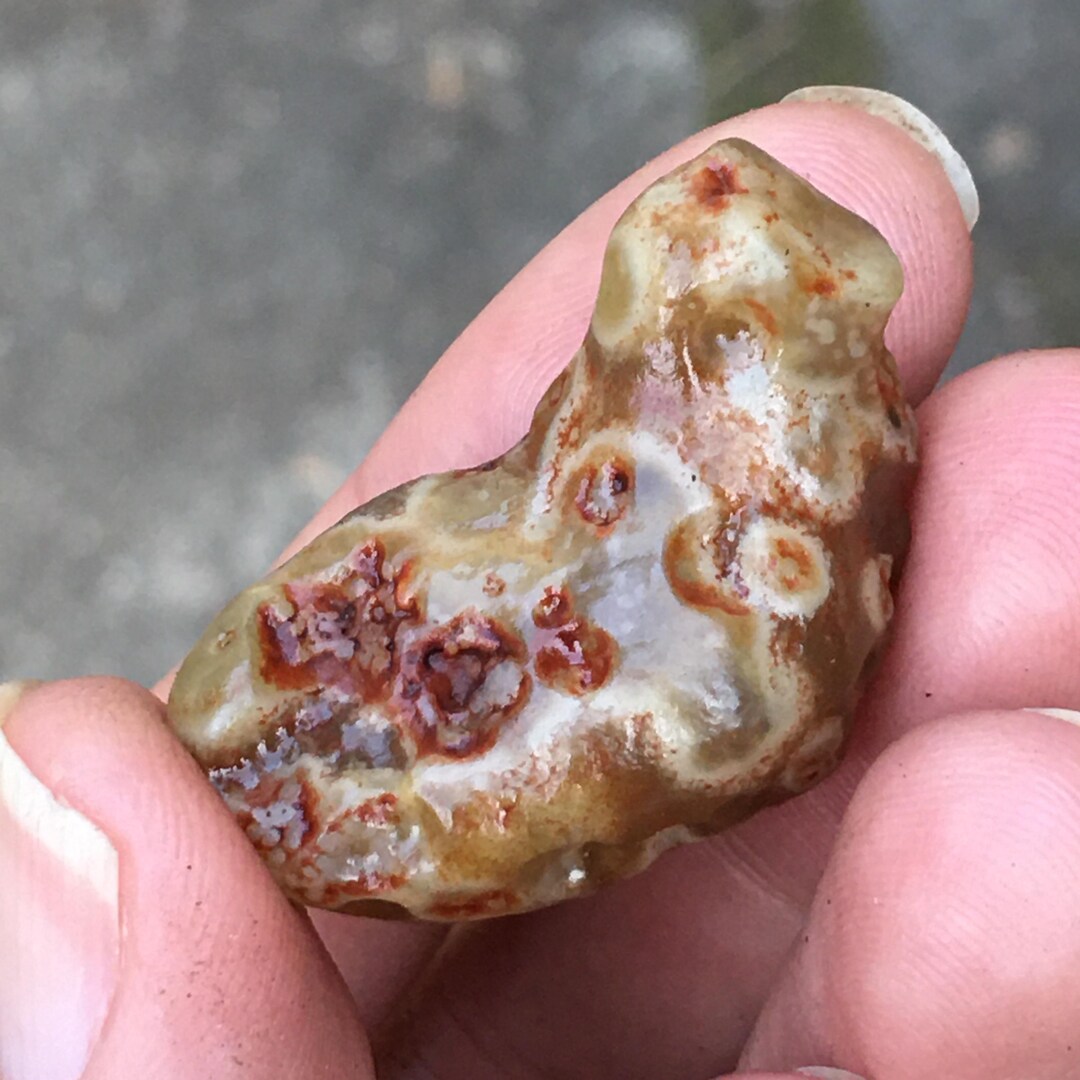 Flower Roe Agate _ Gobi Agate _ Gobi Agate _ Gobi Desert Agate AB - Etsy