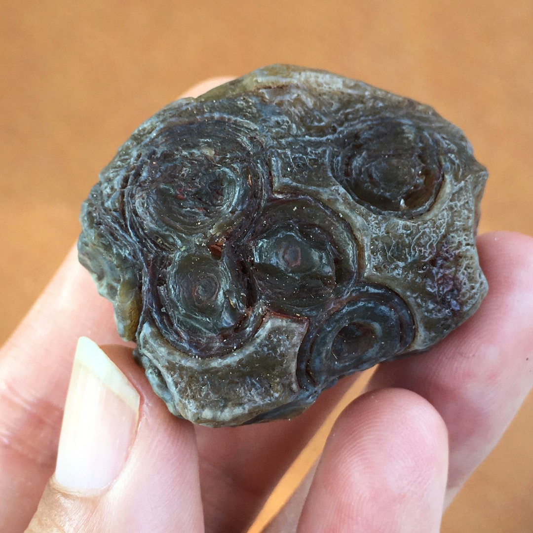 4.3cm Sand Top Gobi Eye Agate _ Gobi Eye Agate _ Gobi Desert Rough ...