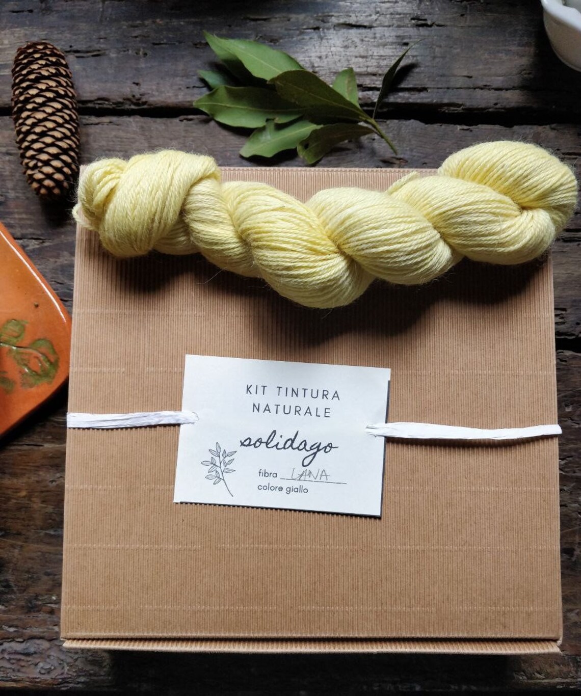 Yarn Dyeing Kit Walnut Husks Onion Skins or Glodenrod and - Etsy