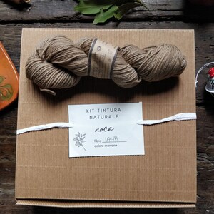 Yarn Dyeing Kit Walnut Husks, Onion Skins or Glodenrod and Mordants ...