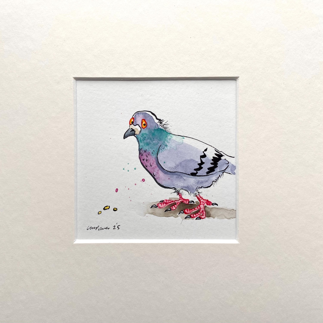 Goofy Pigeon ‘concerned’ Watercolour Painting - Original Pen & Ink ...