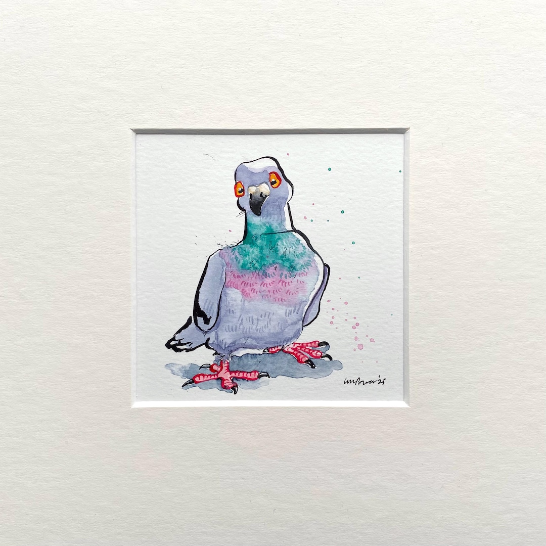 Goofy Pigeon ‘wary’ Watercolour Painting - Original Pen & Ink Drawing ...