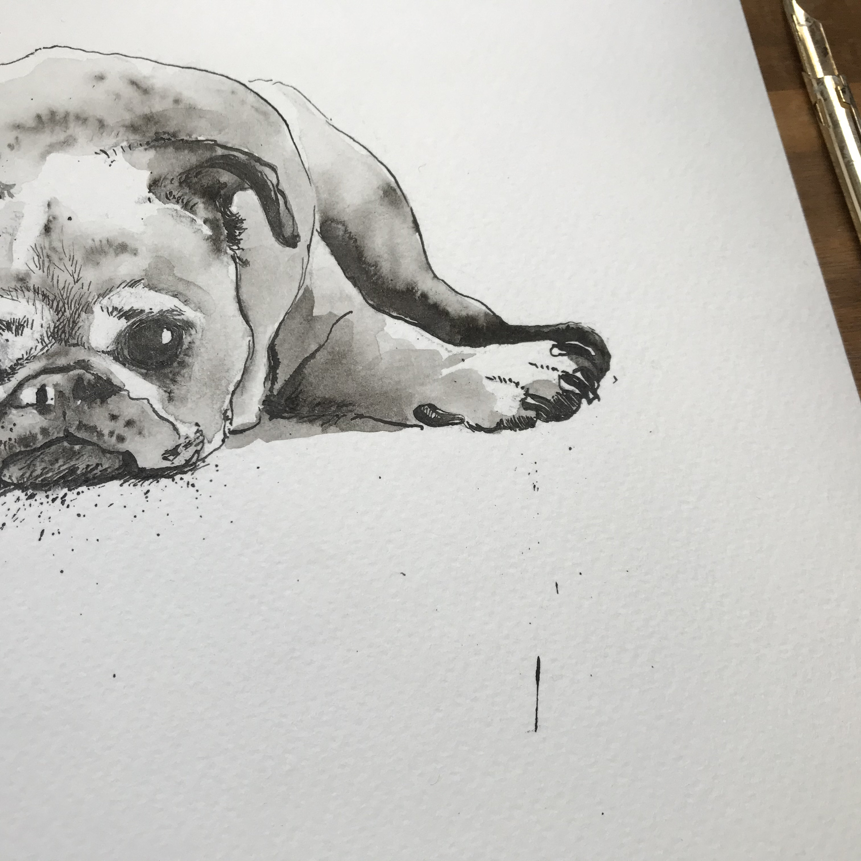 Pug - Original Pen & Ink Wash Drawing, Watercolour Painting, Pugs, Gift ...