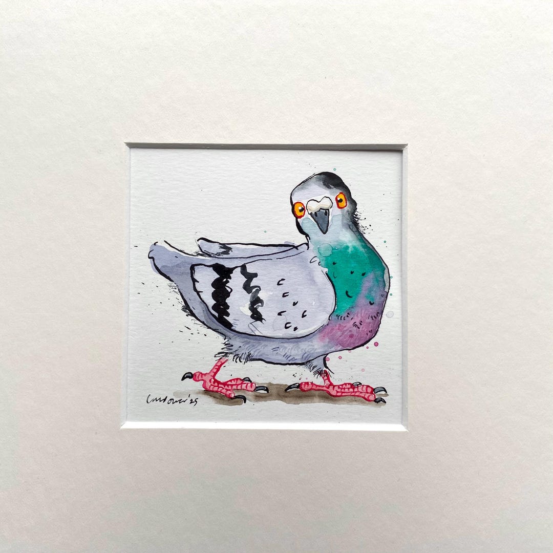 Goofy Pigeon ‘sauntering’ Watercolour Painting - Original Pen & Ink ...