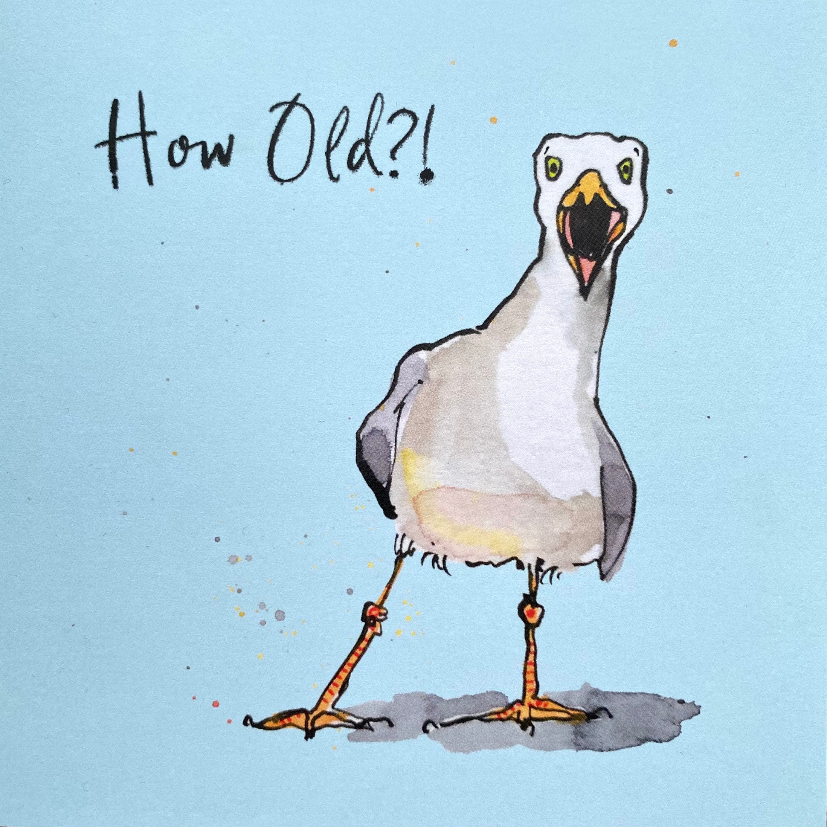 Seagull Birthday Card “how Old?” - From an Original Watercolour ...