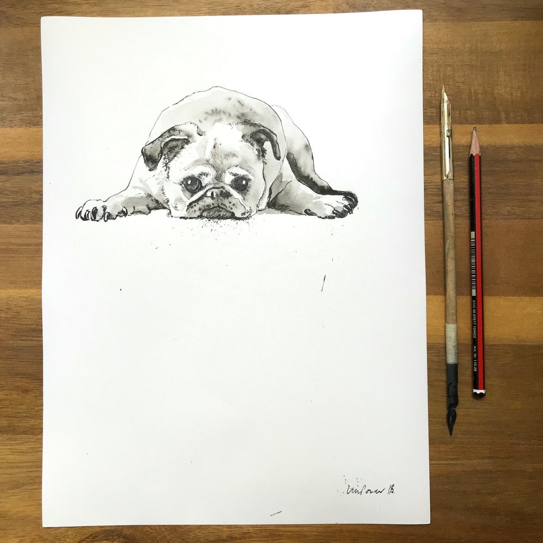 Pug - Original Pen & Ink Wash Drawing, Watercolour Painting, Pugs, Gift ...