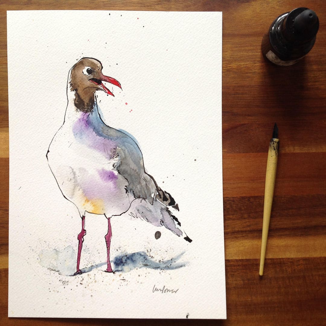 Black Headed Gull - Original Pen & Ink Drawing, Watercolour Painting ...