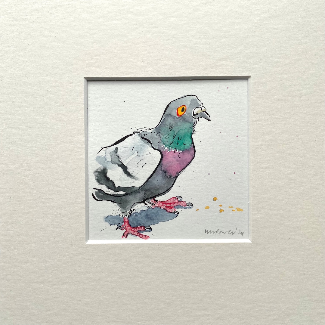 Goofy Pigeon worrying Watercolour Painting Original Pen & Ink Drawing ...