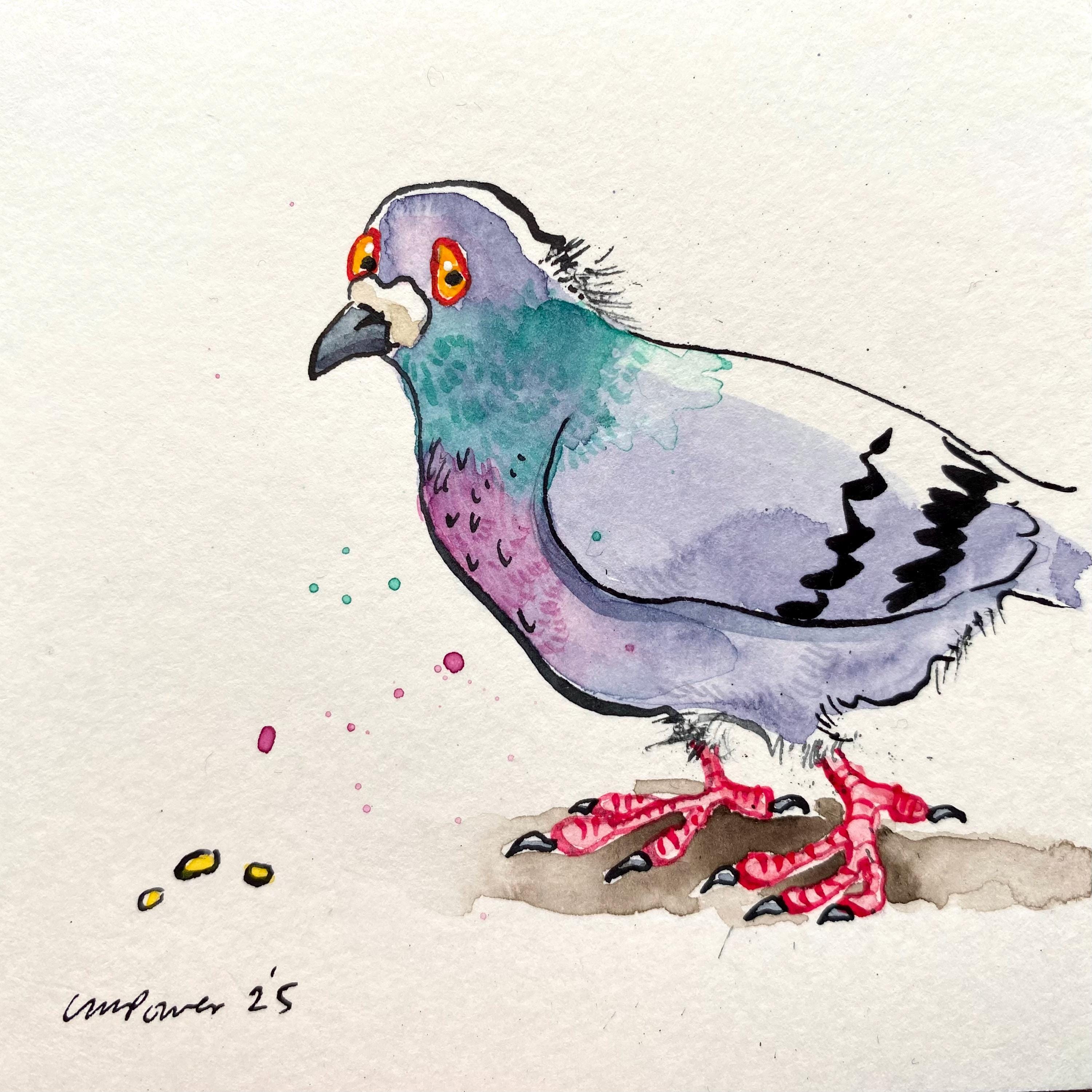 Goofy Pigeon ‘concerned’ Watercolour Painting - Original Pen & Ink ...
