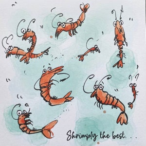 Prawn Card shrimply the Best From an Original Watercolour Painting of a ...