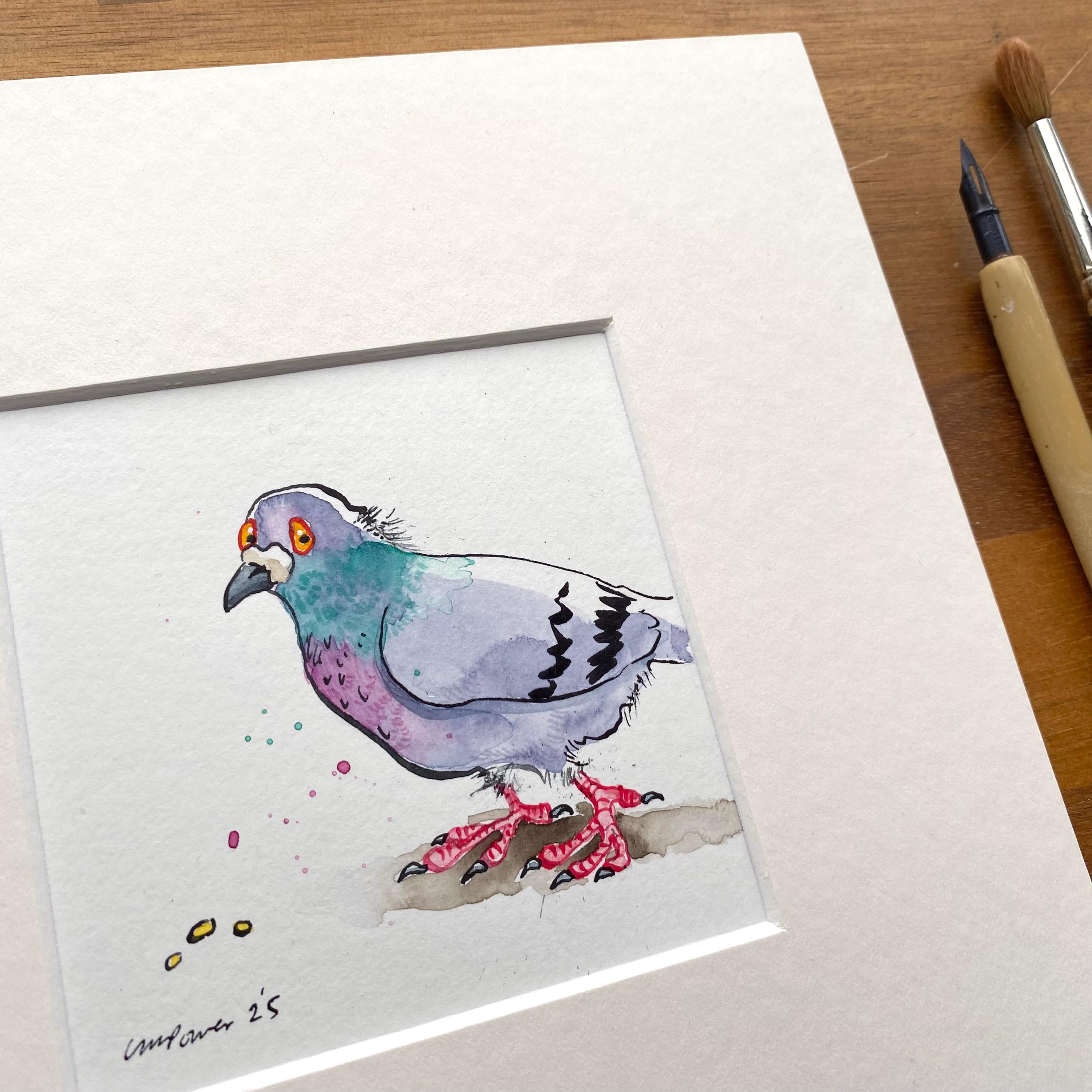 Goofy Pigeon ‘concerned’ Watercolour Painting - Original Pen & Ink ...