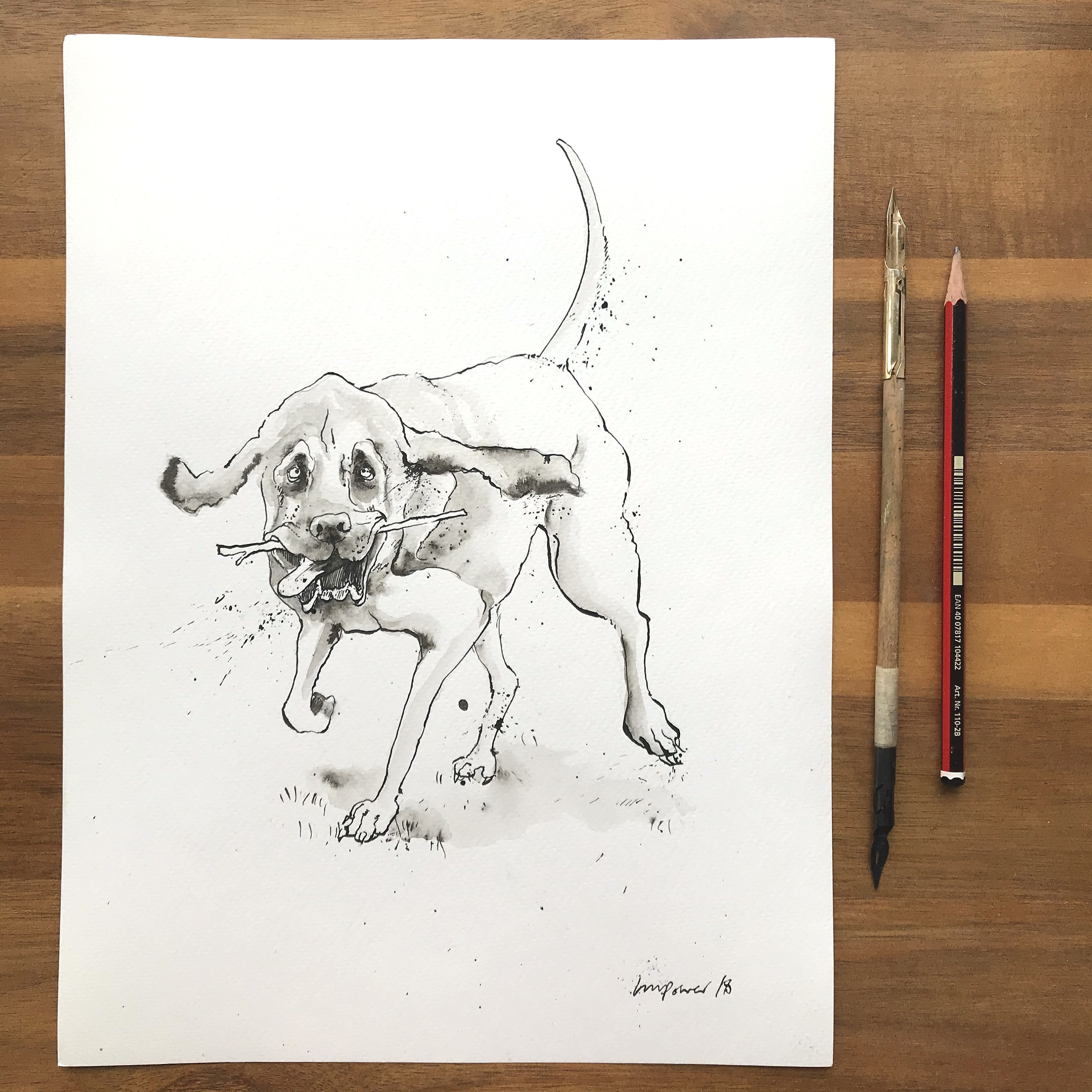 Bloodhound Original Pen & Ink Wash Drawing, Watercolour Painting Gift ...