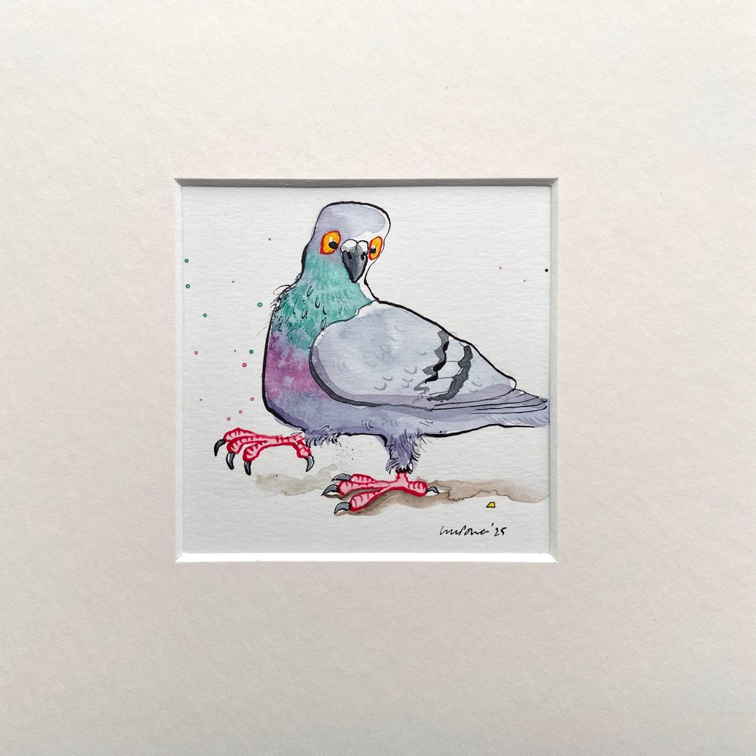 Goofy Pigeon ‘distracted’ Watercolour Painting - Original Pen & Ink ...