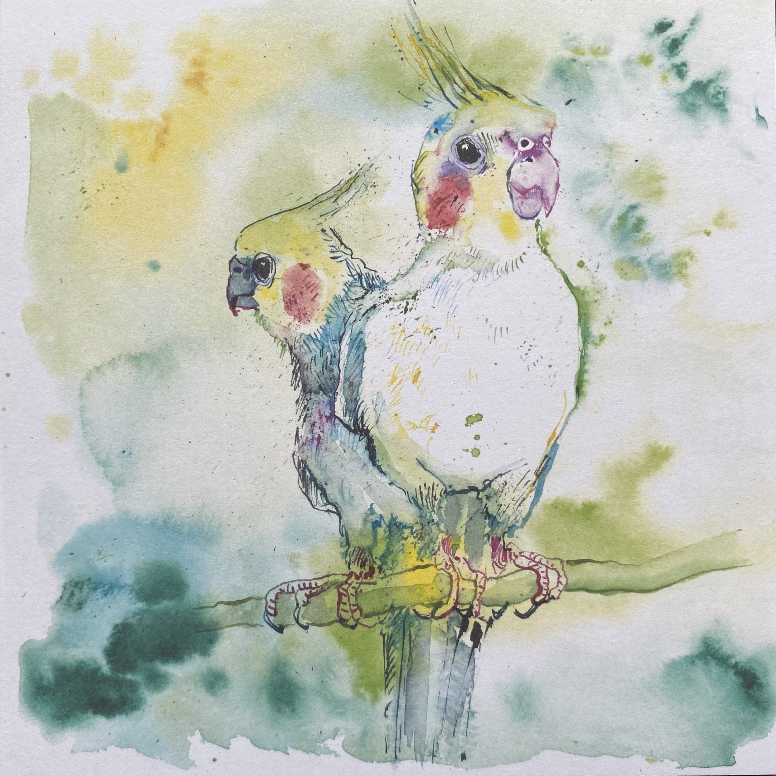 Cockatiels Art Greetings Card - From an Original Ink & Watercolour ...