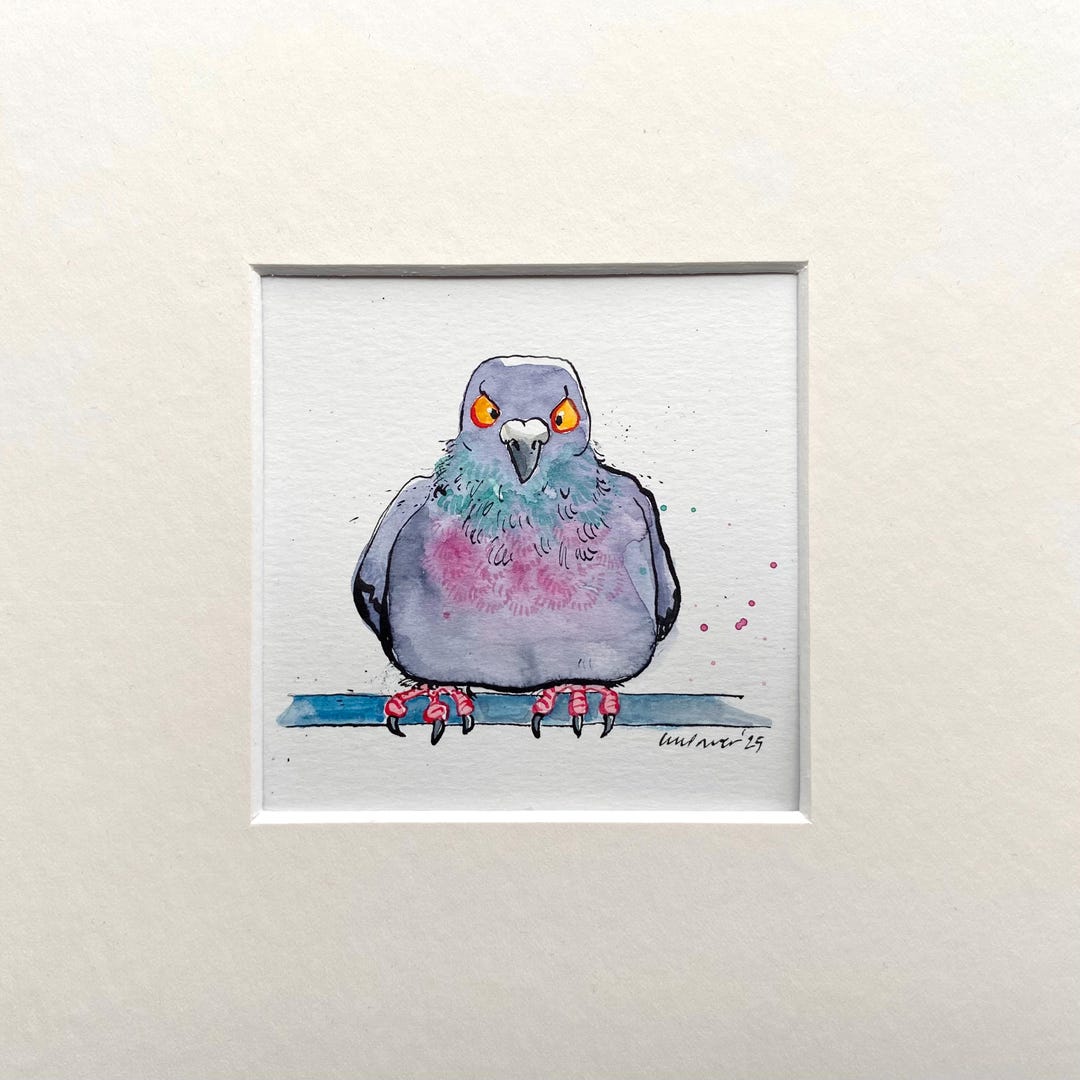 Goofy Pigeon ‘seething’ Watercolour Painting - Original Pen & Ink ...
