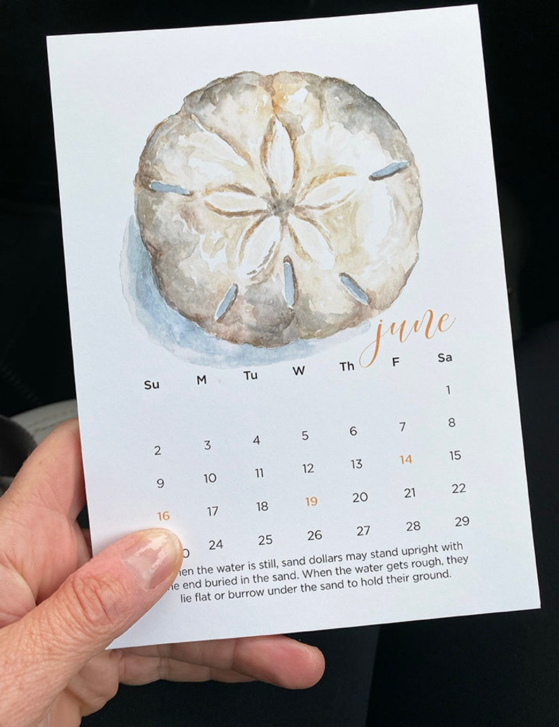 2024 Watercolor Calendar 11x14 - Etsy