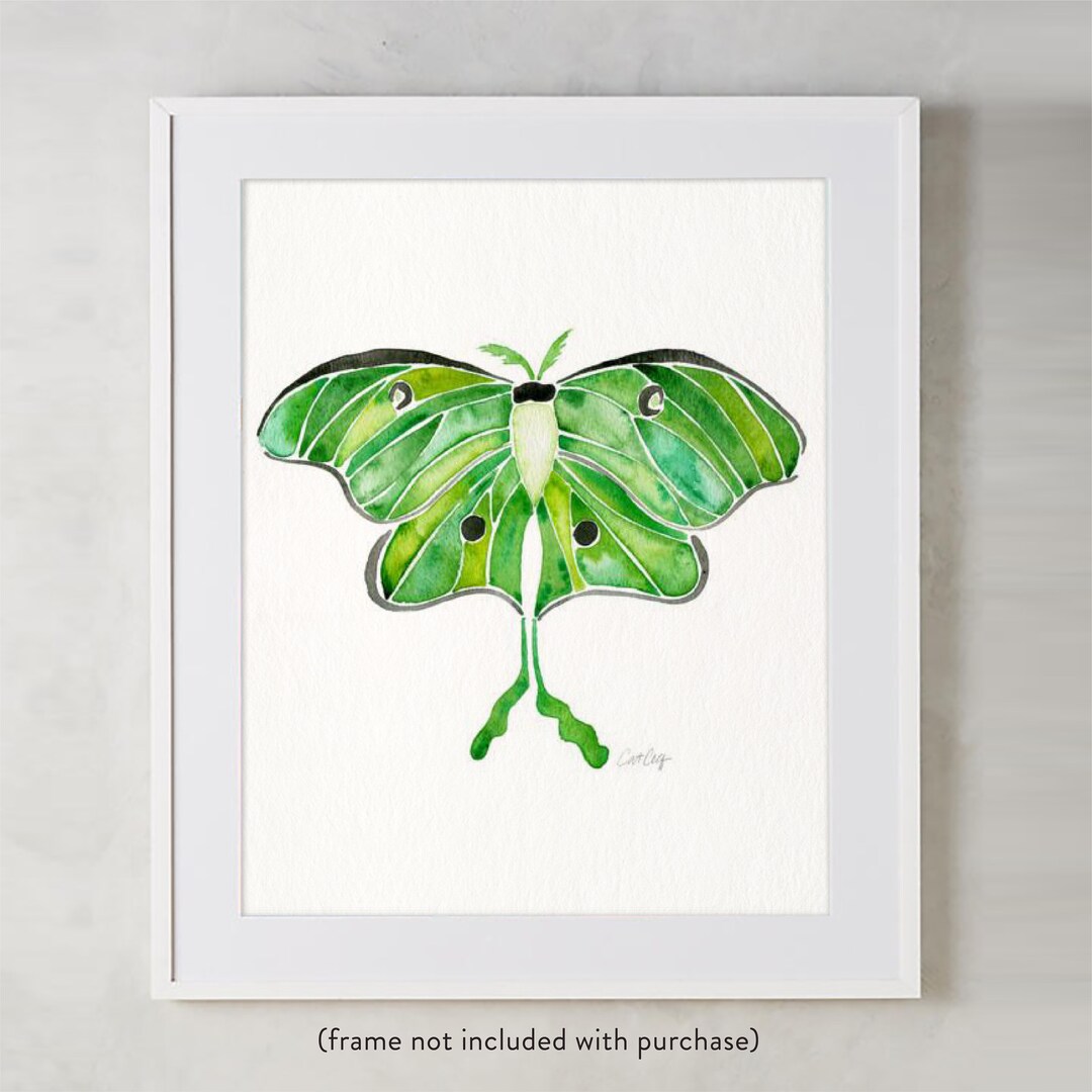 Luna Moth – Watercolor Painting Art Print by Catcoq. Museum-quality on ...