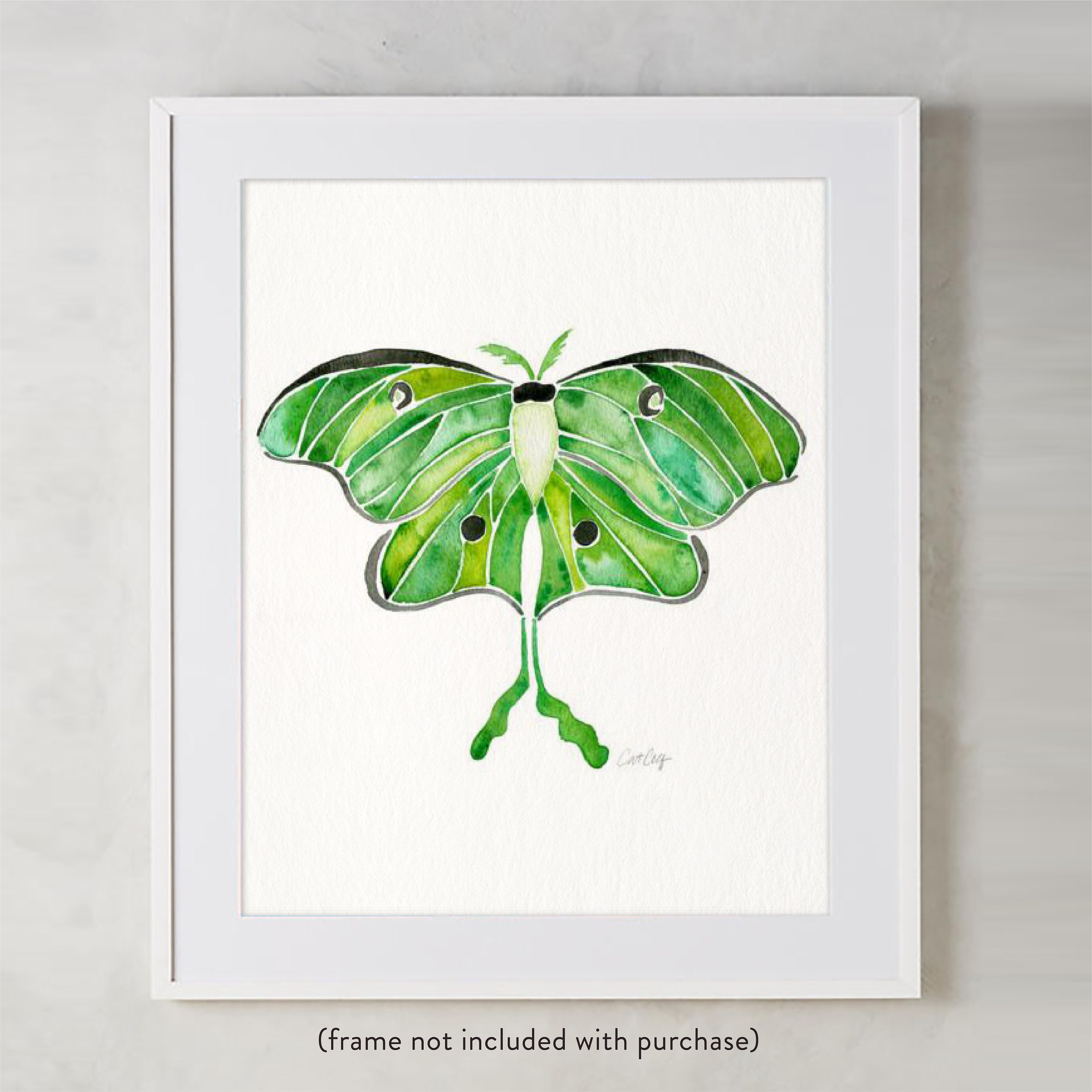 Luna Moth – Watercolor Painting Art Print by Catcoq. Museum-quality on ...