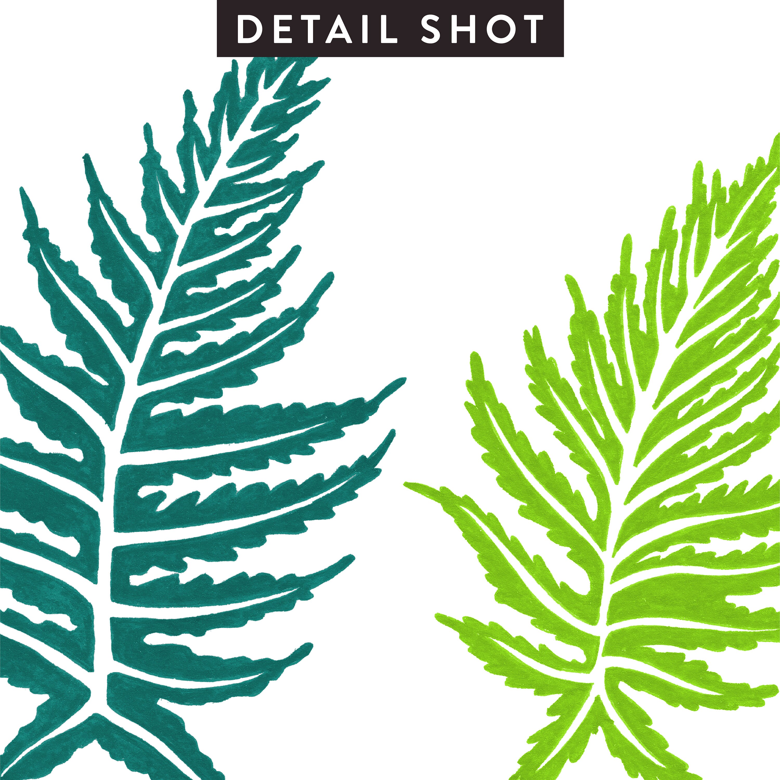 Inked Ferns India Ink Drawing Art Print by Catcoq. Museum-quality on ...