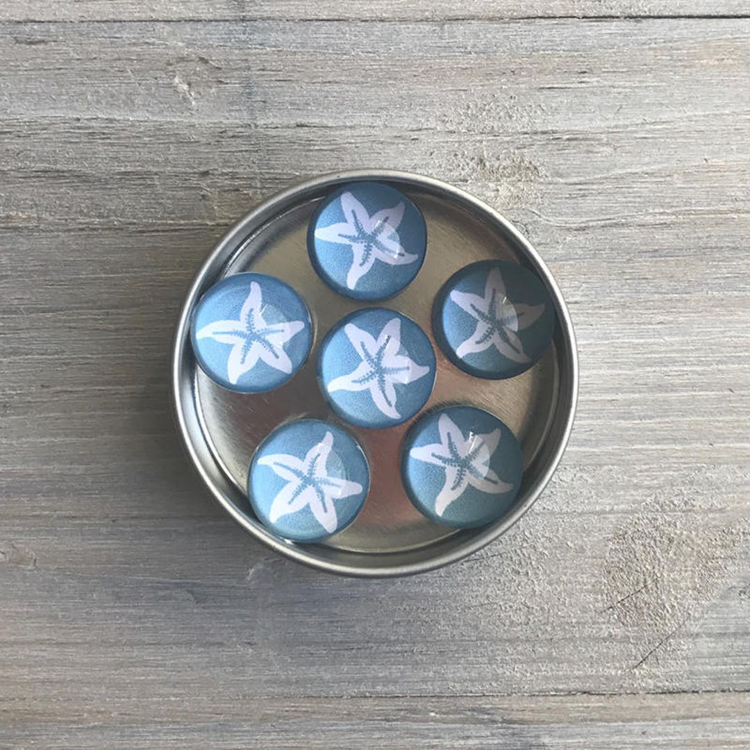 Starfish Fridge Magnets | Set of Six | Activity Calendars | Super ...