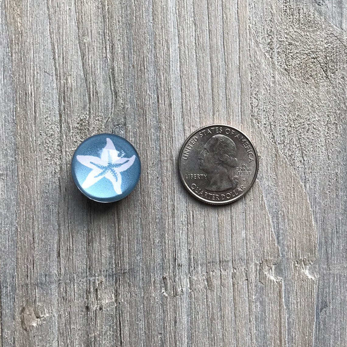 Beach Fridge Magnets Set of Six Activity Calendars Super Strong Kitchen ...