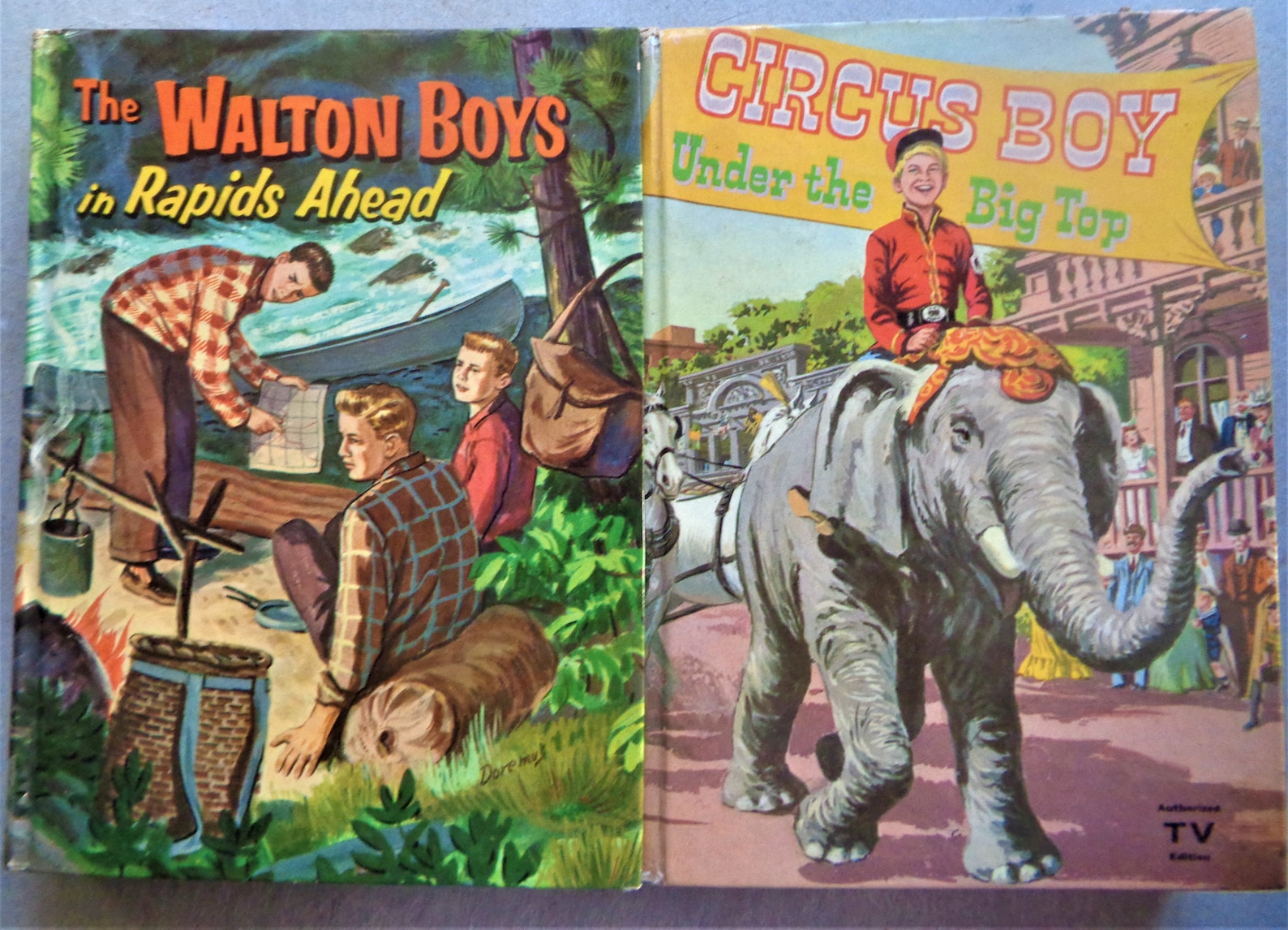 Two Whitman Children's Books "the Walton Boys" & "circus Boy ...