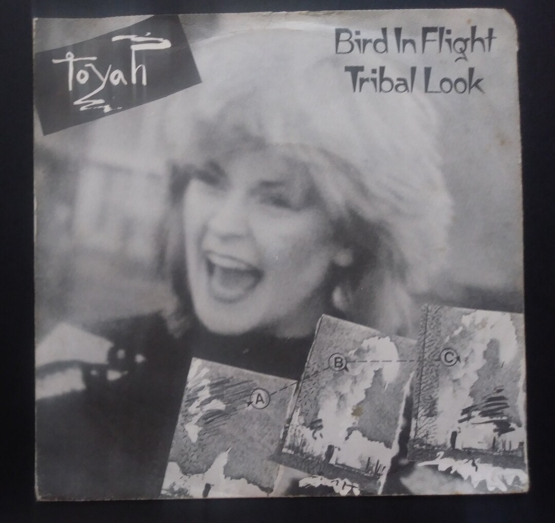 Toyah "bird in Flight" B/W "tribal Look". British Vinyl 45 Record. 1980 ...