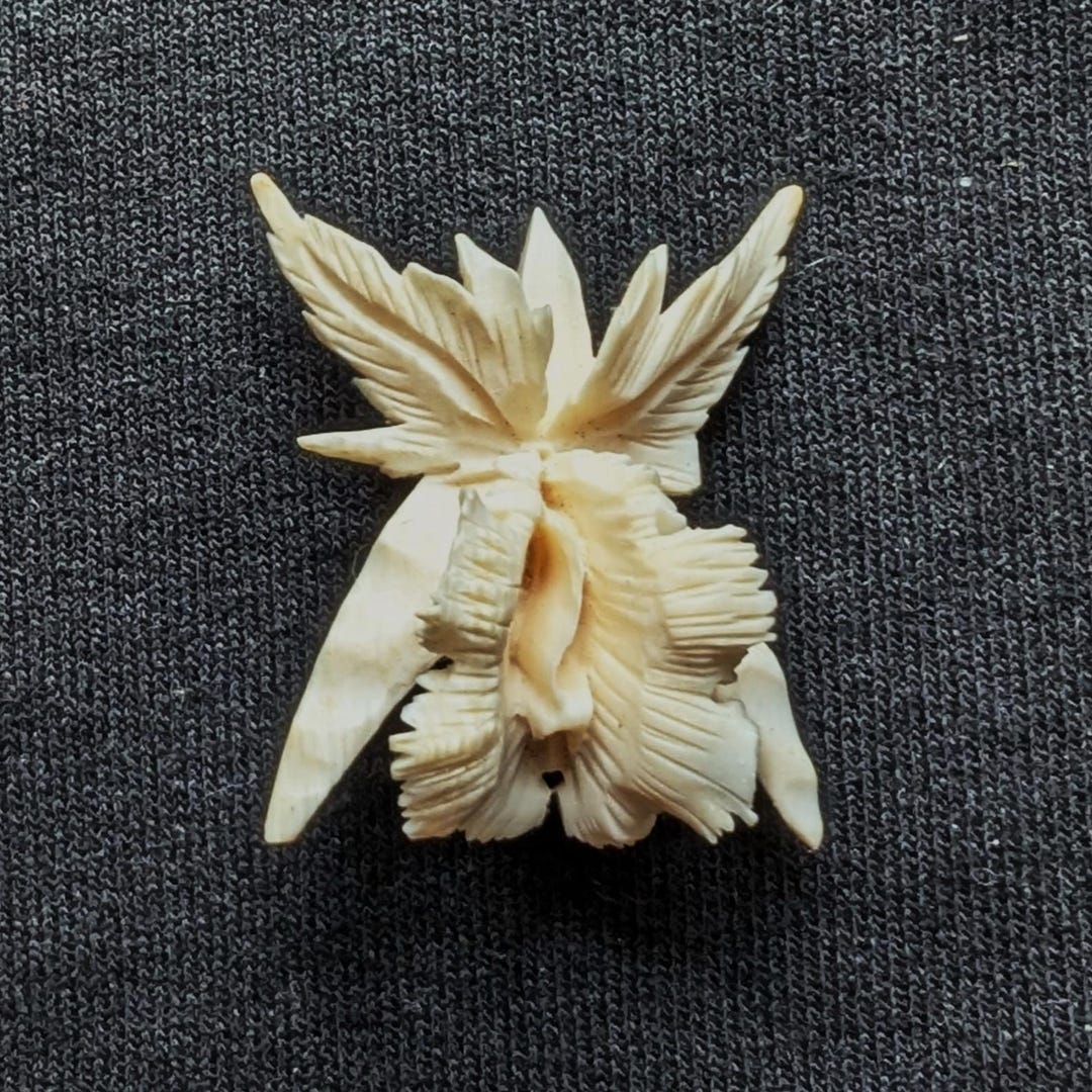 Small White Orchid Brooch/pin. Celluloid. 1940's-1950's. - Etsy